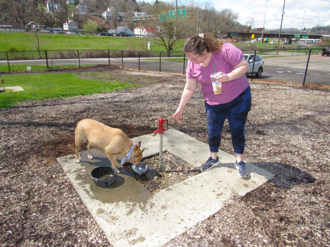 Wheeling’s Dog Parks Open for the Season | News, Sports, Jobs - The ...